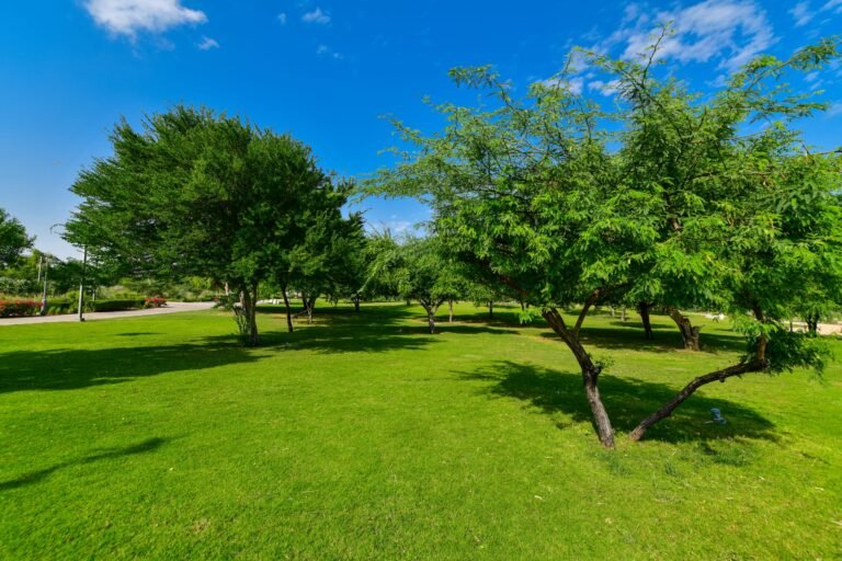 10 Best Parks In Doha (2026): Explore Qatar's Green Oases