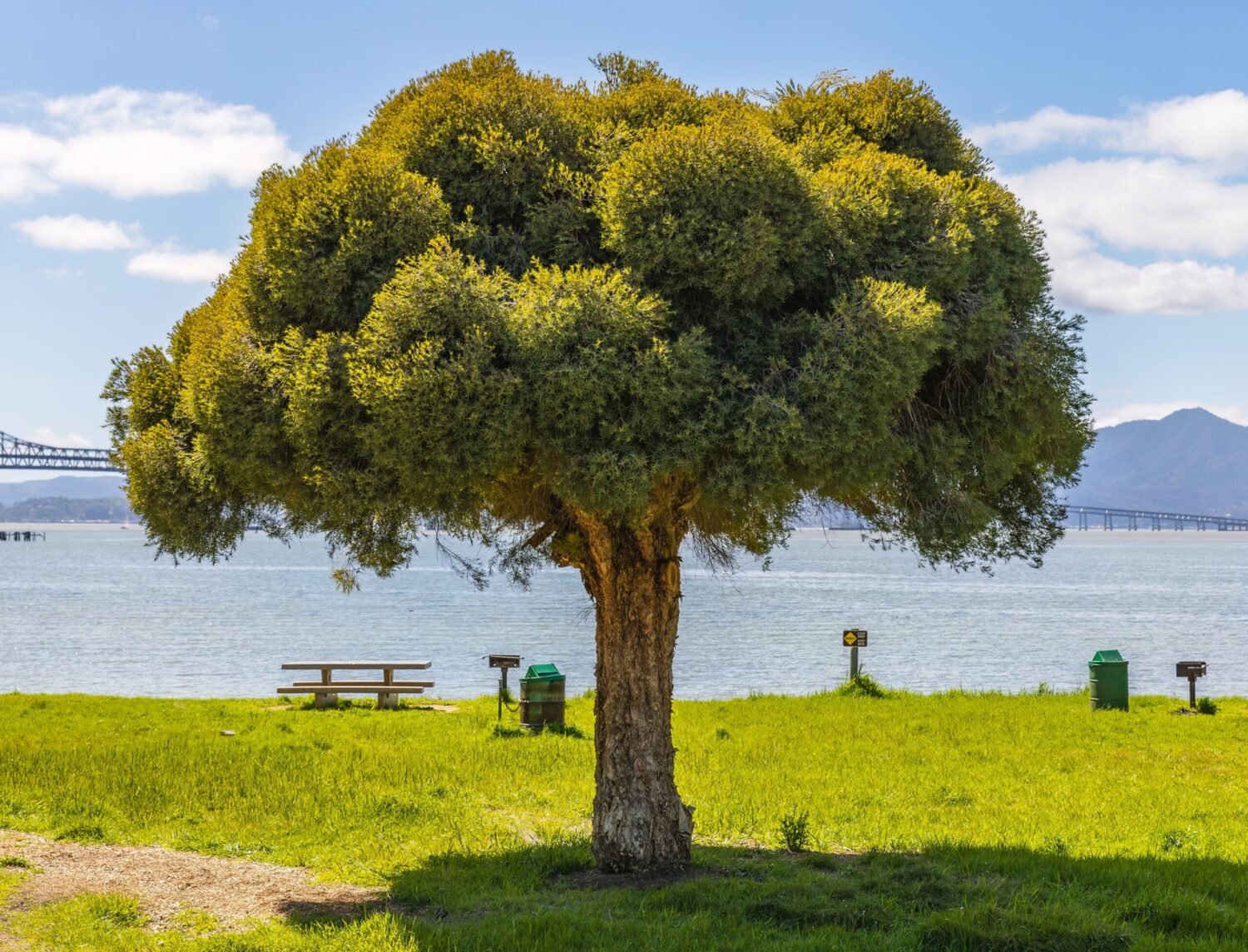 14 Best Parks In Doha