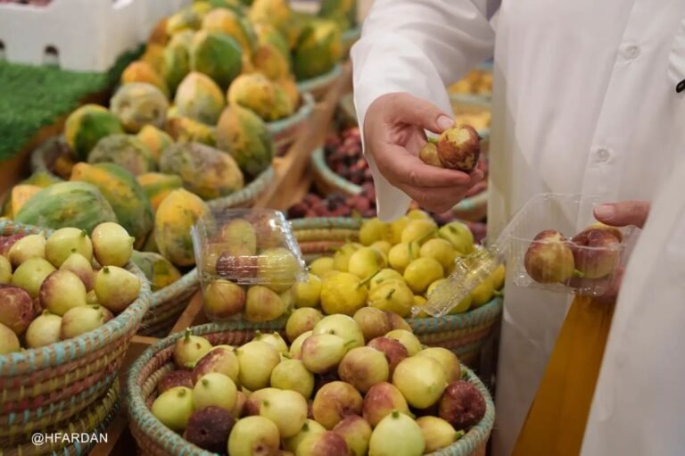 10 Unique Things To Do In Bahrain (2026): Hidden Gems & Unforgettable ...