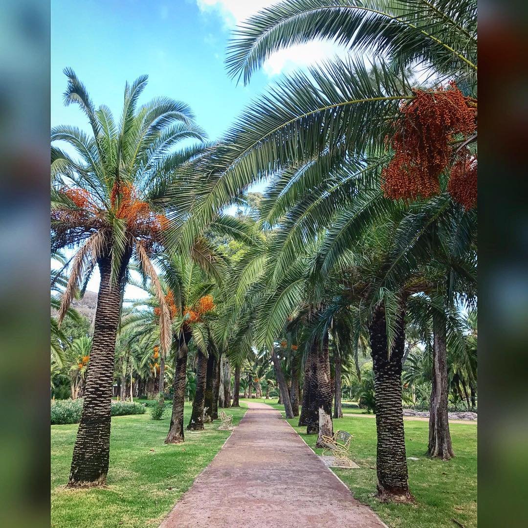 2 Days In Tangier: Perfect Itinerary For Unforgettable Weekend [2026 ...