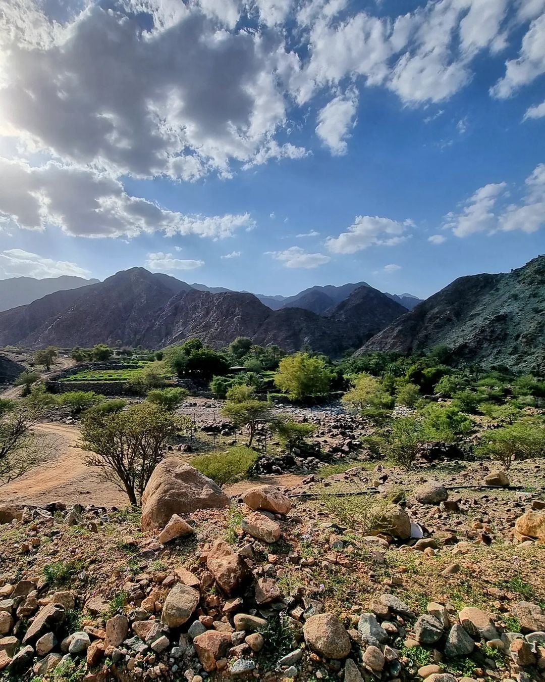 9 Best Hiking Trails In UAE (2026): Discover The Emirates' Natural Wonders