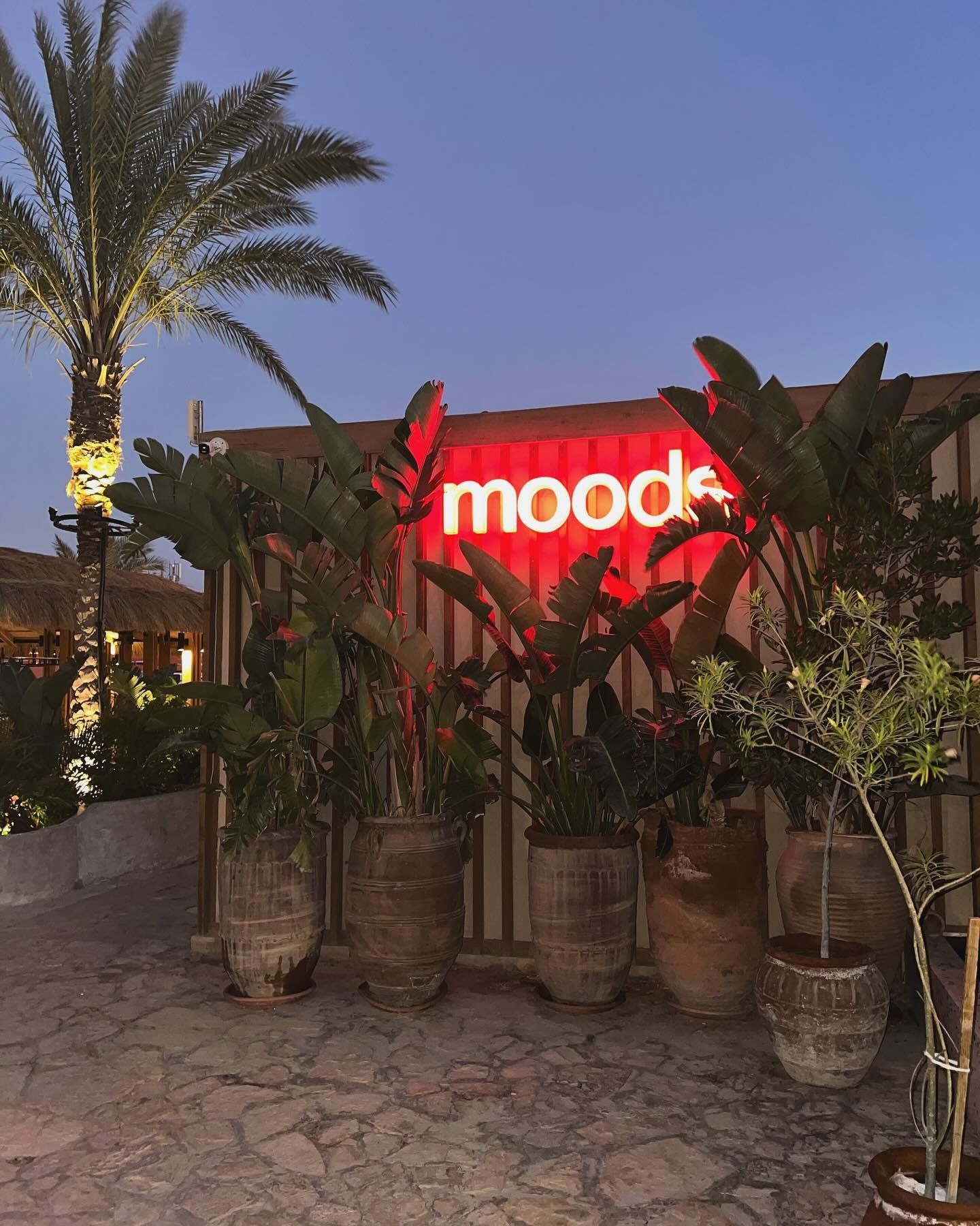 Nightlife In Hurghada (2026): Top 7 Clubs, Bars & Beach Venues ...