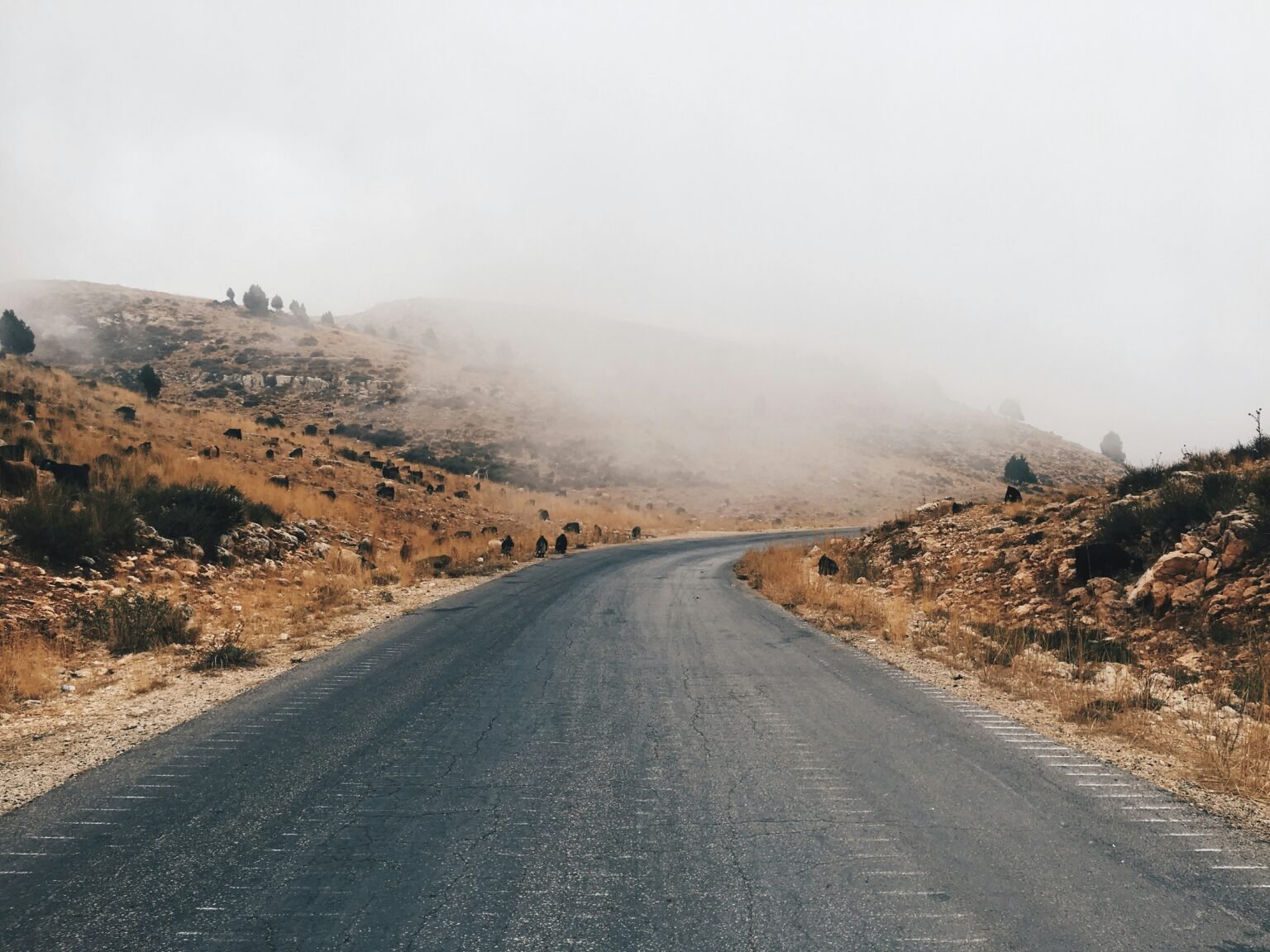 How To Get Around Lebanon (2026): Complete Transportation Guide For ...