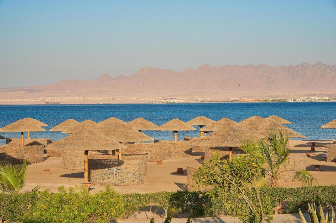 Nightlife In Cairo: 7 Cool Places To Go Out After Dark [2025 Edition]