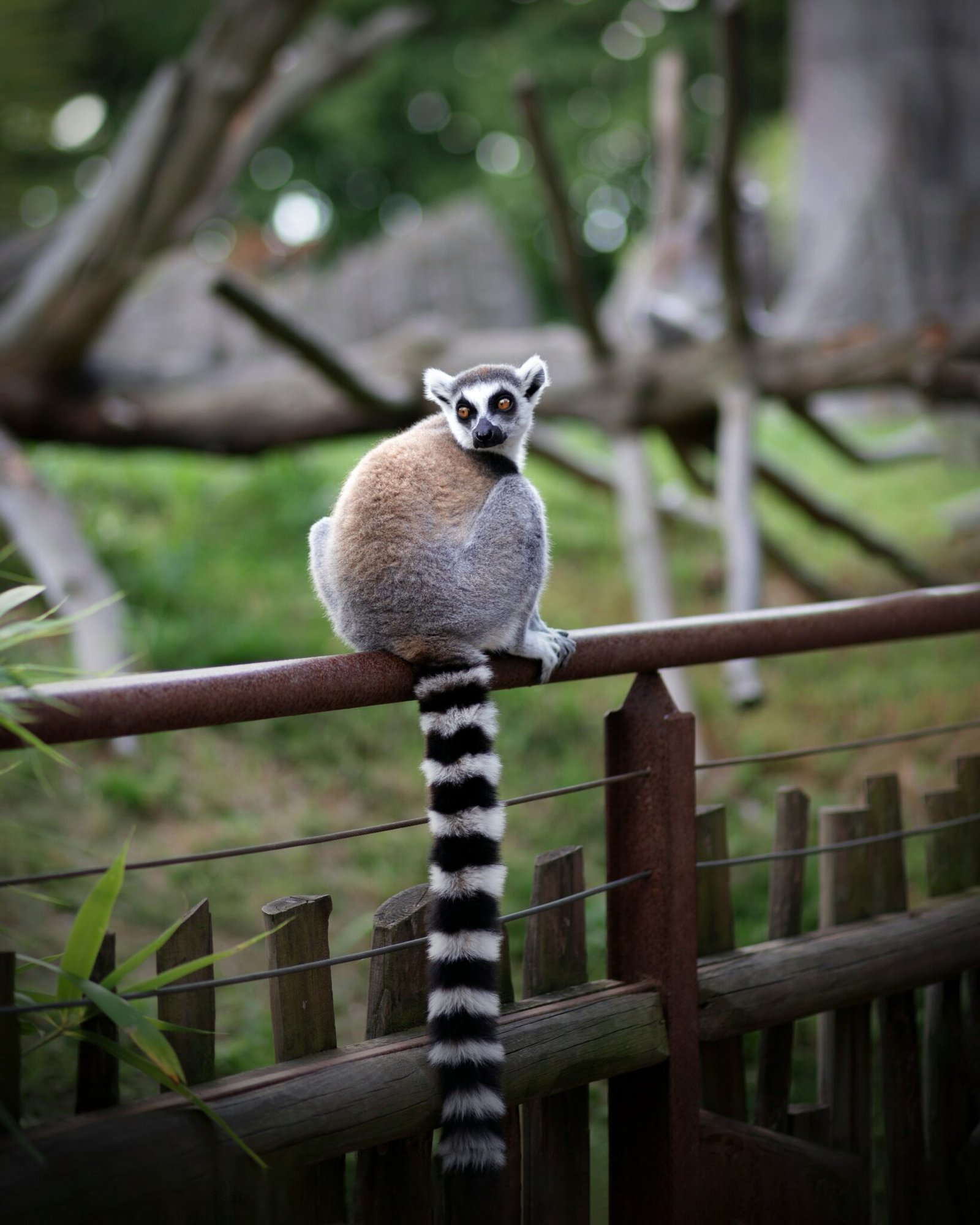 What To Do In Cyprus With Kids (2026): 17 Fun & Family-Friendly Activities