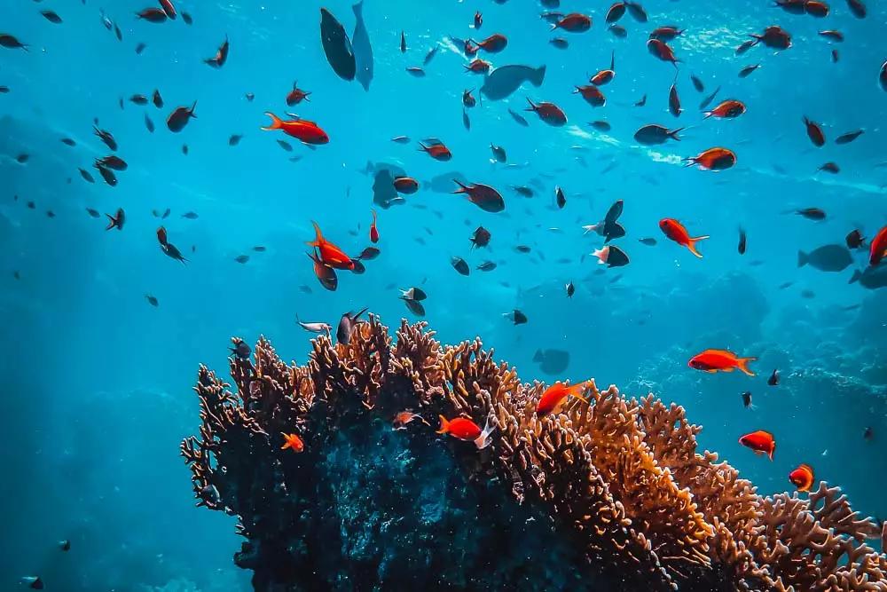 Best Excursions From Hurghada In 2026: 8 Epic Day Trips, Desert ...